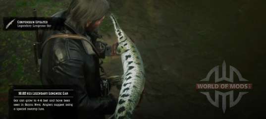 The legendary Longnose Gar in RDR 2: where to search and how to catch