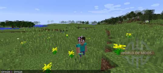 Female Gender Option for Minecraft