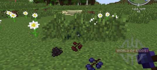MC BerryBush for Minecraft