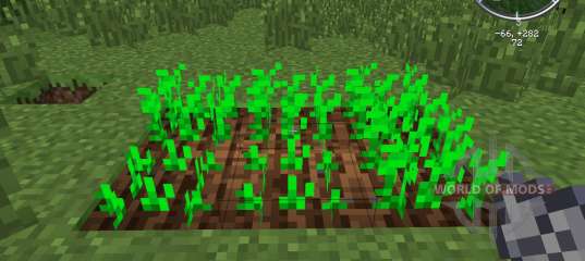 MC Turnip for Minecraft