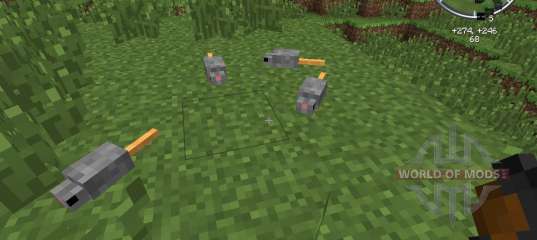 Rat for Minecraft