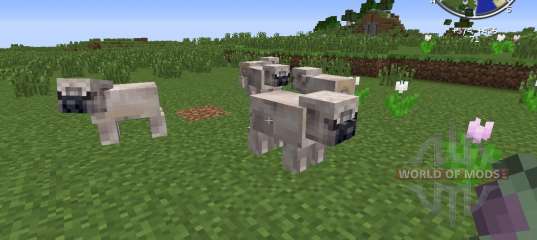 Pug Life for Minecraft