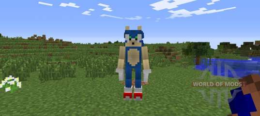 Sonic The Hedgehog for Minecraft