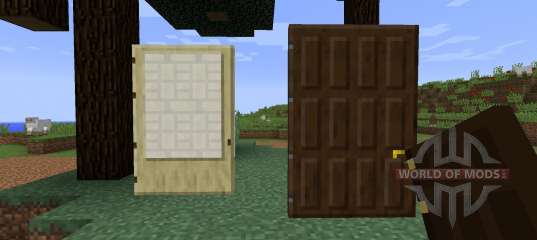 Roxas Tall Doors [1.8] for Minecraft