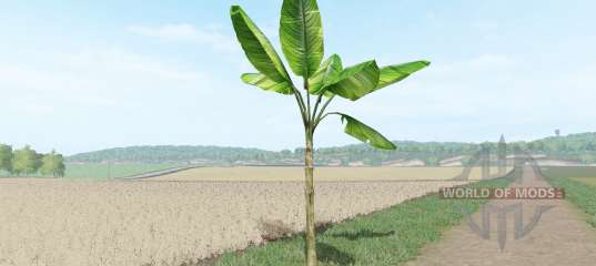 Banana tree for Farming Simulator 2017