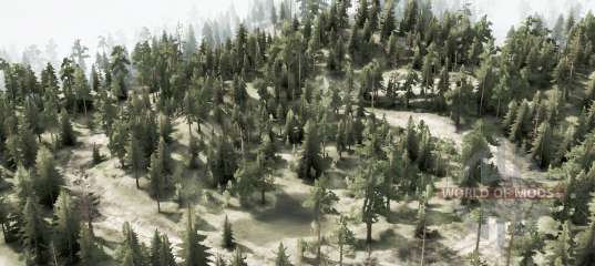 Forest road for MudRunner