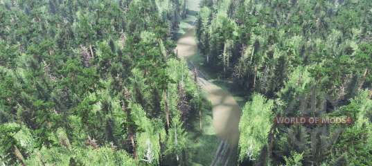 Anninsky Forest for Spin Tires