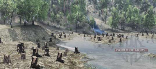 Bootleg Bootstrap for Spin Tires